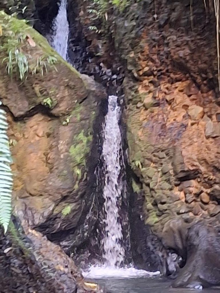 Discover Why Dominica Is One of the Caribbean’s Best Kept Secrets ...