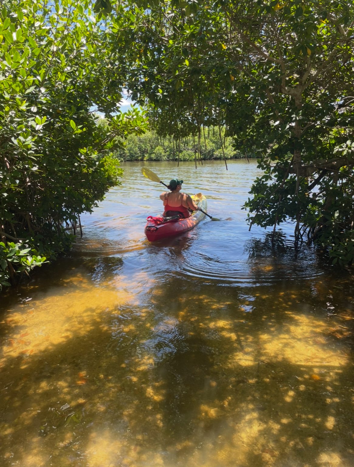 It’s Island Time on Sanibel and Captiva — Florida’s Gulf Coast Gems ...