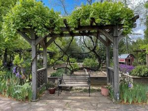 Placer Wine Trail: Discover Hidden Gems - Luxe Beat Magazine