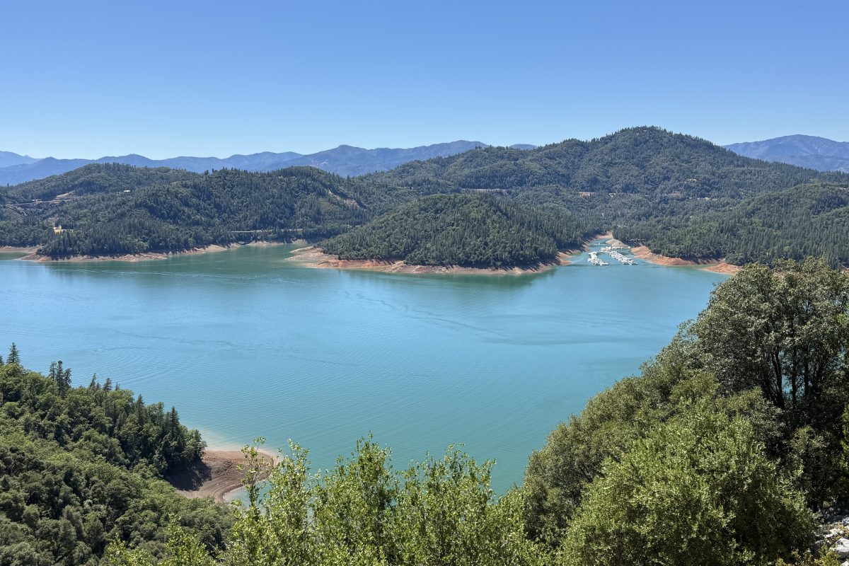 Lake Shasta Caverns: A Hidden Natural Wonder - Luxe Beat Magazine