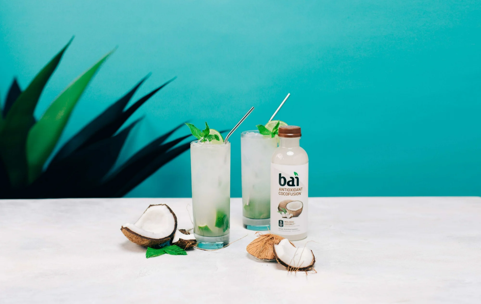 The 10 Best Coconut Drink Brands of 2025 - Luxe Beat Magazine