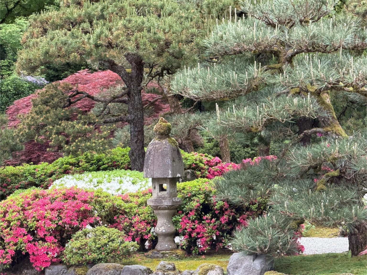 Portland Japanese Garden: A Serene Escape - Luxe Beat Magazine